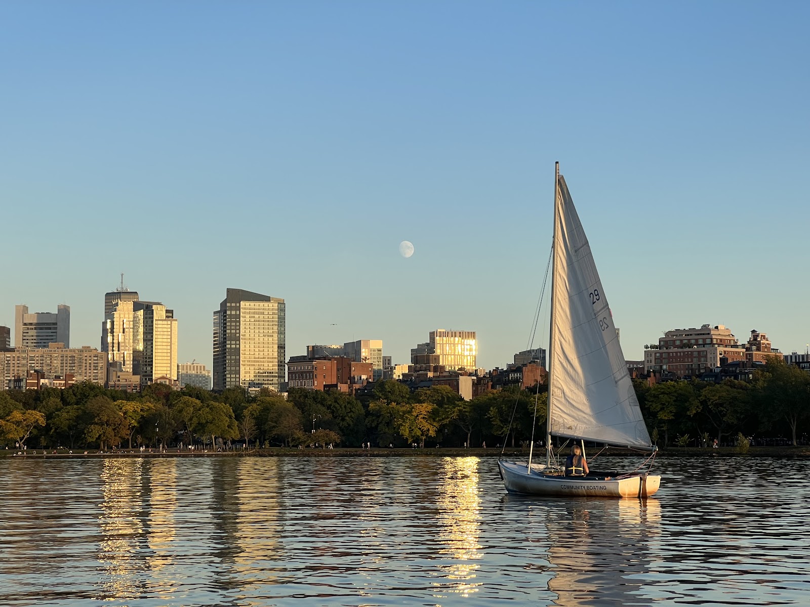 Best Toddler Activities in Boston (2026) | KidPaths | KidPaths