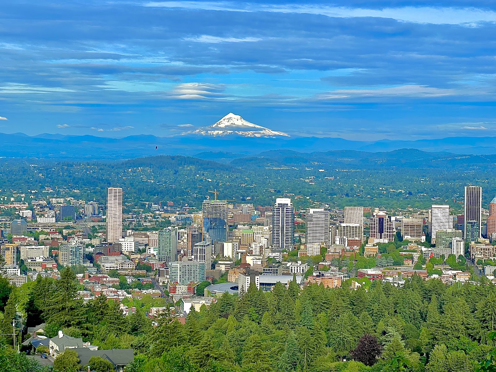 3-Day Portland Family Itinerary (2026) | KidPaths | KidPaths
